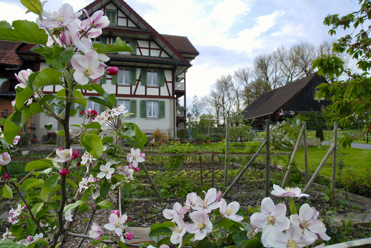 Biohof Lügisingen